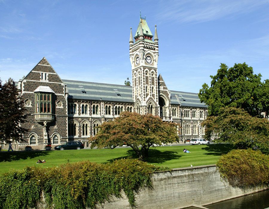 Iconic-Tours-Dunedin-03.jpg
